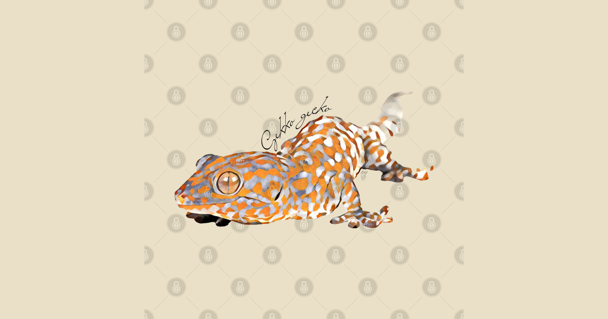 Tokay gecko with scientific name - Gecko - T-Shirt | TeePublic