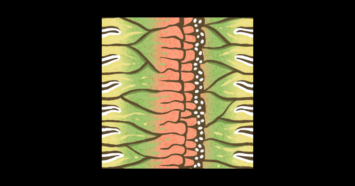 Butterfly metamorphosis pattern - Butterfly - Sticker | TeePublic