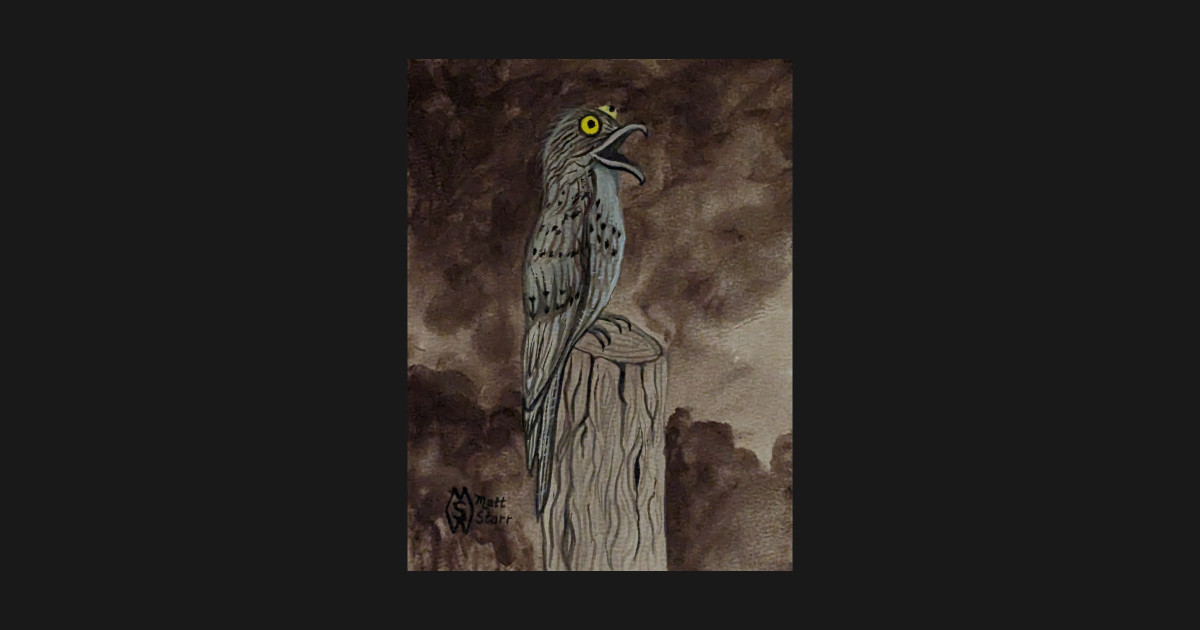 The potoo hunting at night - Potoo - T-Shirt | TeePublic
