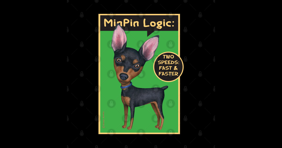 Cute min pin pose on Miniature Pinscher Standing tee - Miniature ...