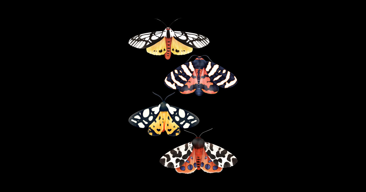 Tiger Moths - Moth - Sticker | TeePublic