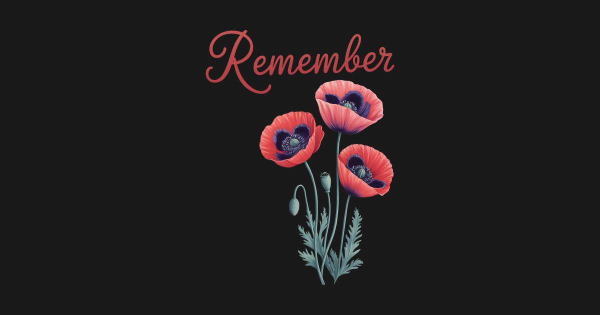Remember Veterans Day Memorial Day - Veterans Day - T-Shirt | TeePublic