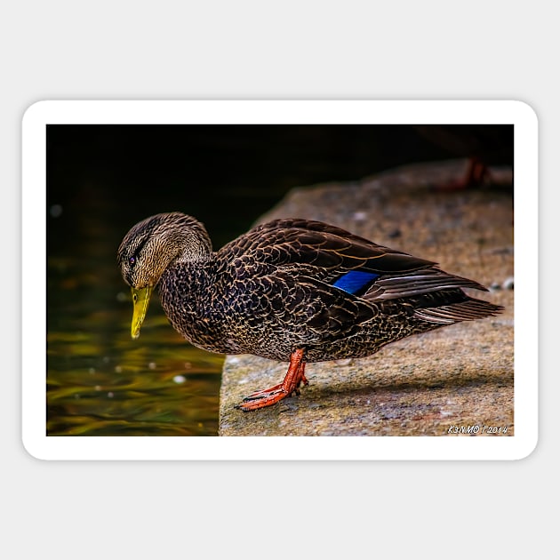 Wet Bill - 2014 Fowl Atlantic Autumn Avian Beak Bi - Sticker | TeePublic