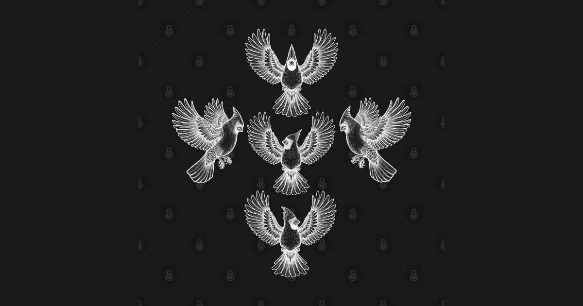 Red cardinal bird cute northern cardinal - Red Cardinal Bird Northern ...