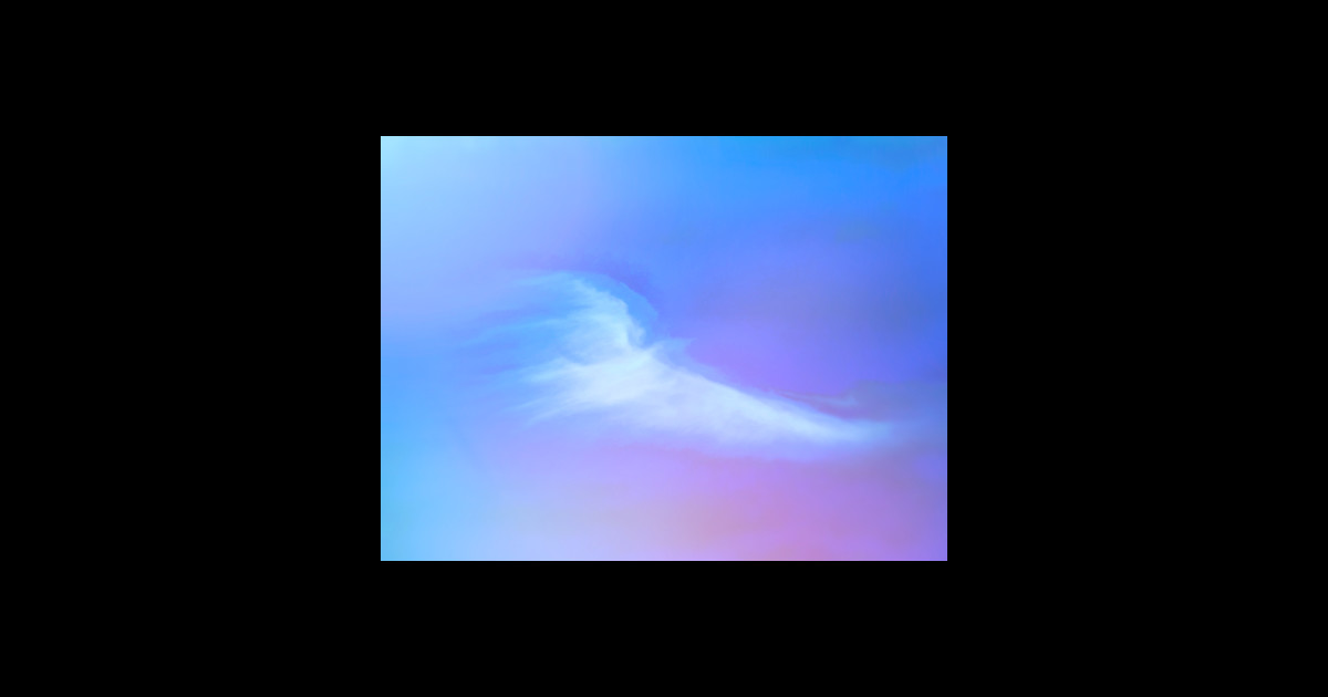 Soaring on the Wings of a Dove - Bird - Sticker | TeePublic