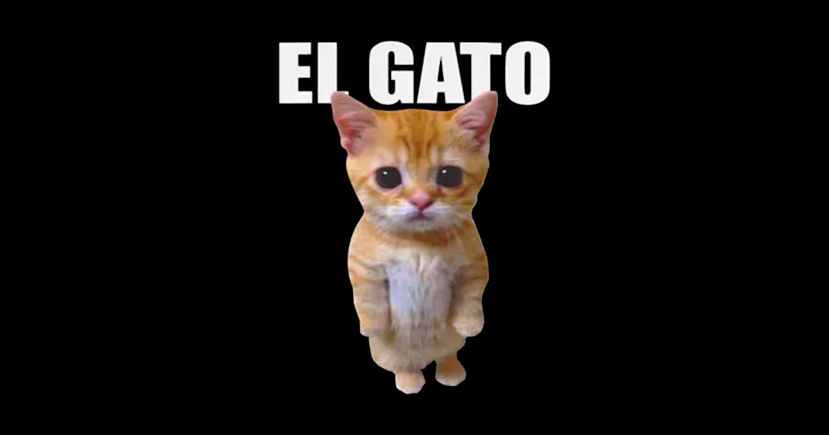 El Gato Meme Sad Crying Cat Munchkin Kitty Meme Trendy - El Gato Meme ...