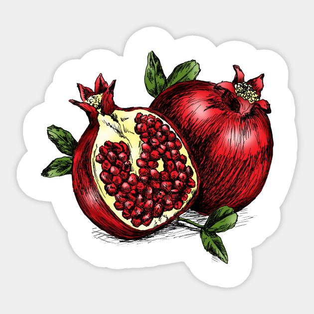 Pomegranate print - Pomegranate - Sticker | TeePublic