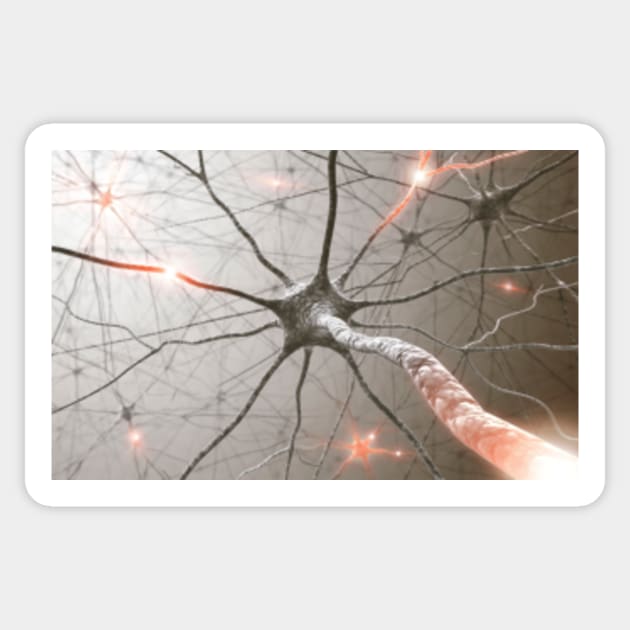 Neural network, artwork (F006/8715) - Biological - Sticker | TeePublic