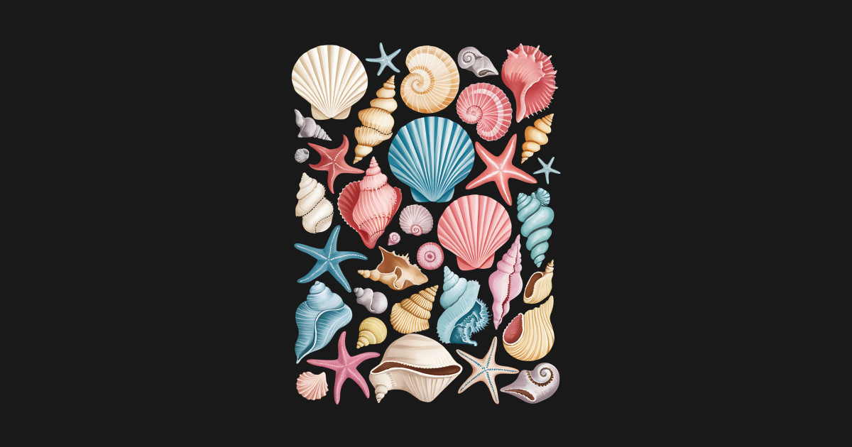 Types of Seashells Scientific Seashell Chart Educational - Types Of ...