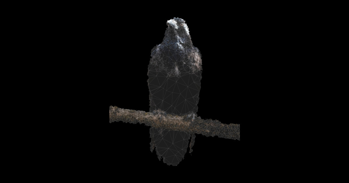 Low Poly Crow - Crow - Sticker | TeePublic