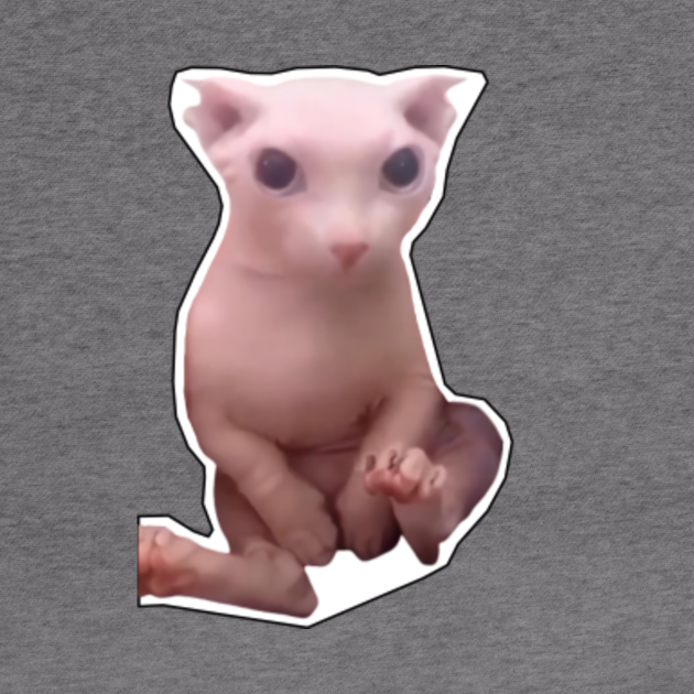 Bingus my beloved cat meme transparent outlined meme funny cats dank ...