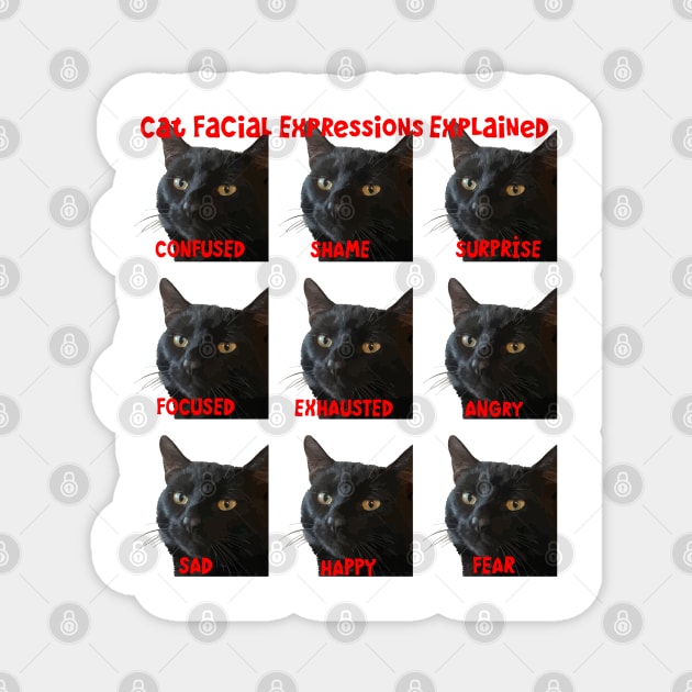 Cat Facial Expressions Explained Chart Cut Out - Cat Humor - Magnet ...