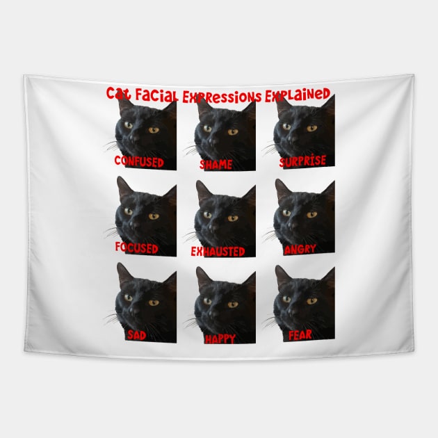 Cat Facial Expressions Explained Chart Cut Out - Cat Humor - Tapestry ...