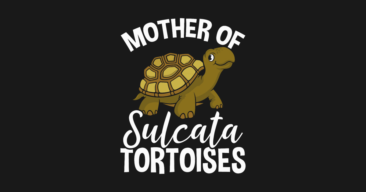 Turtle Pet Sulcata Tortoise Decor Turtle African Spurred Tortoise ...