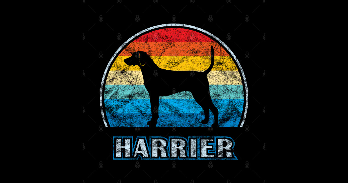 Harrier Vintage Design Dog - Harrier - Sticker | TeePublic