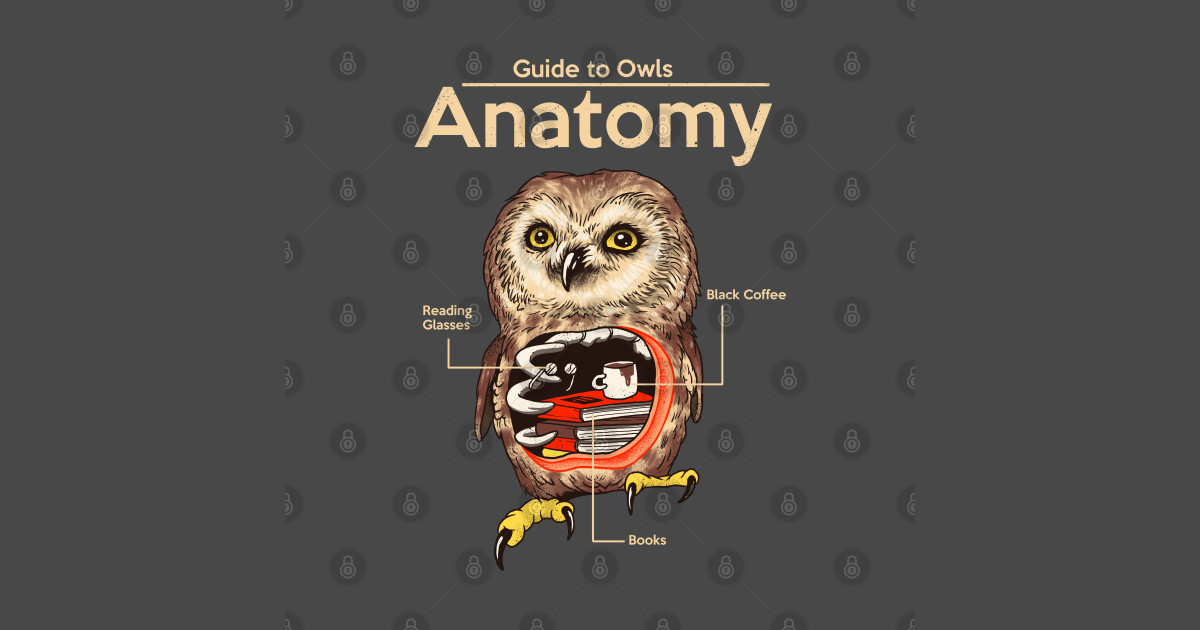 Anatomy of Owls - Owl - T-Shirt | TeePublic