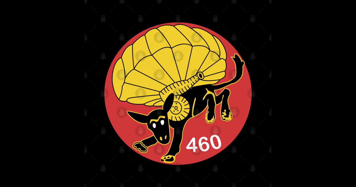 460th Parachute Field Artillery X 300 - 460th Parachute Field Artillery ...