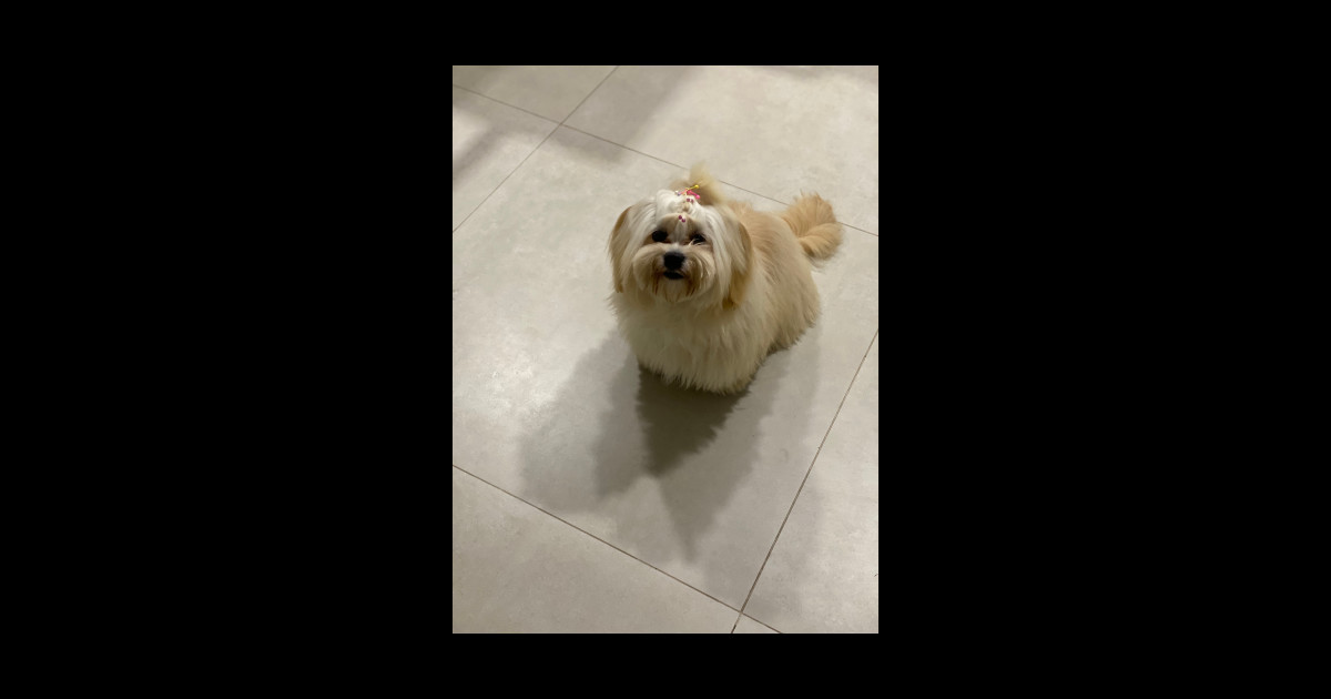 Jennifer - Dog - Sticker | TeePublic