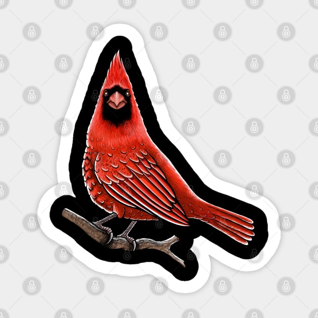 Red Cardinal bird - Red Cardinal Red Cardinal Lover Bird - Sticker ...