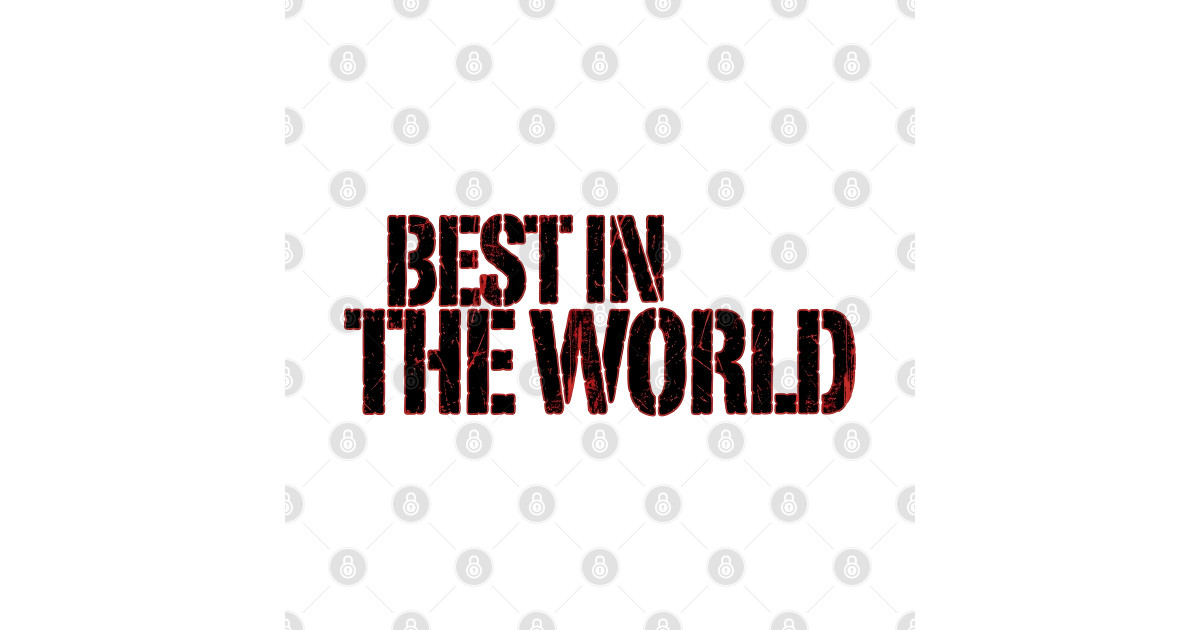 CM Punk Tshirt The Best in The World Pro Wrestling T-Shirt Tee Shirt ...