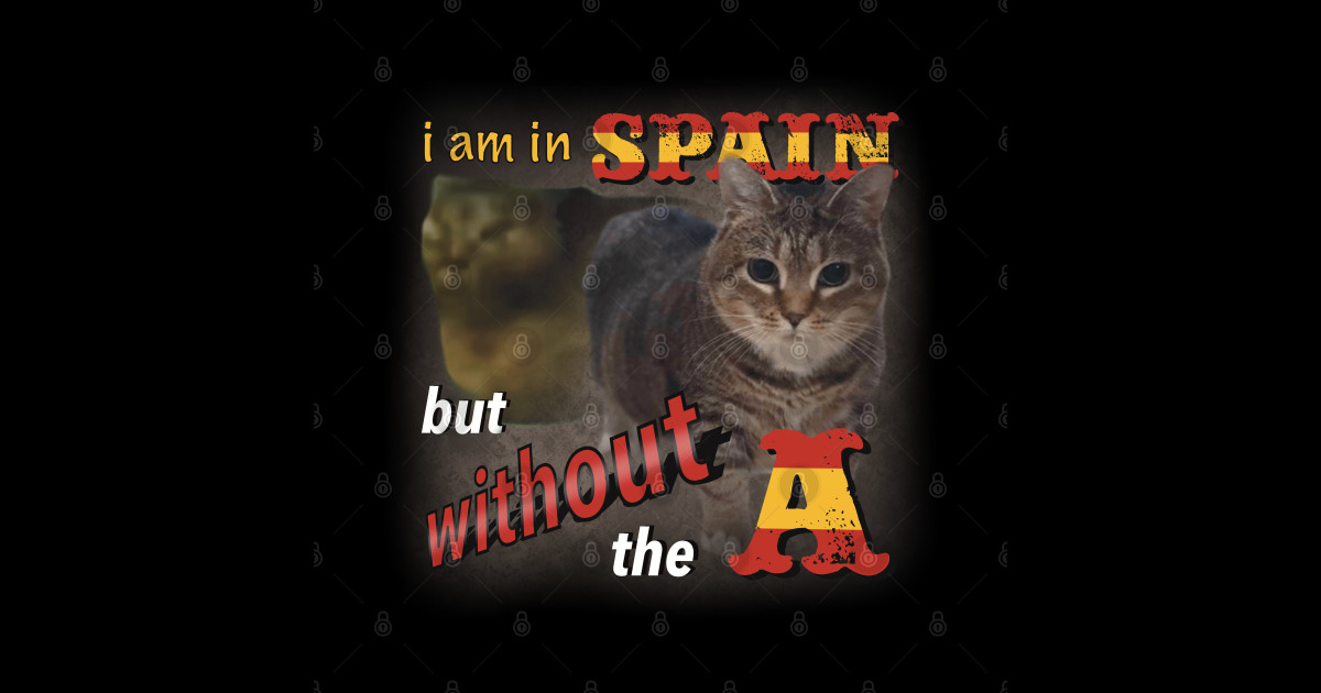 Spinning Cat Meme (Captions) / OIIAI Cat / UIIAI Cat / OIIA Cat / UIIA ...
