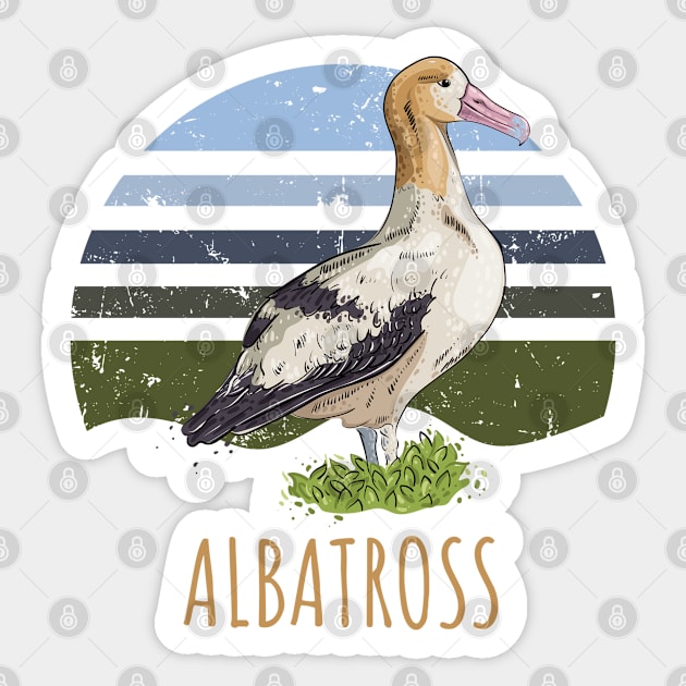 Short-tailed albatross - Albatross - Sticker | TeePublic