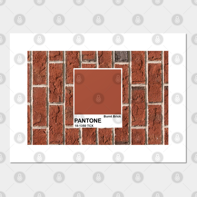 Burnt brick color - Pantone Color - Posters and Art Prints | TeePublic