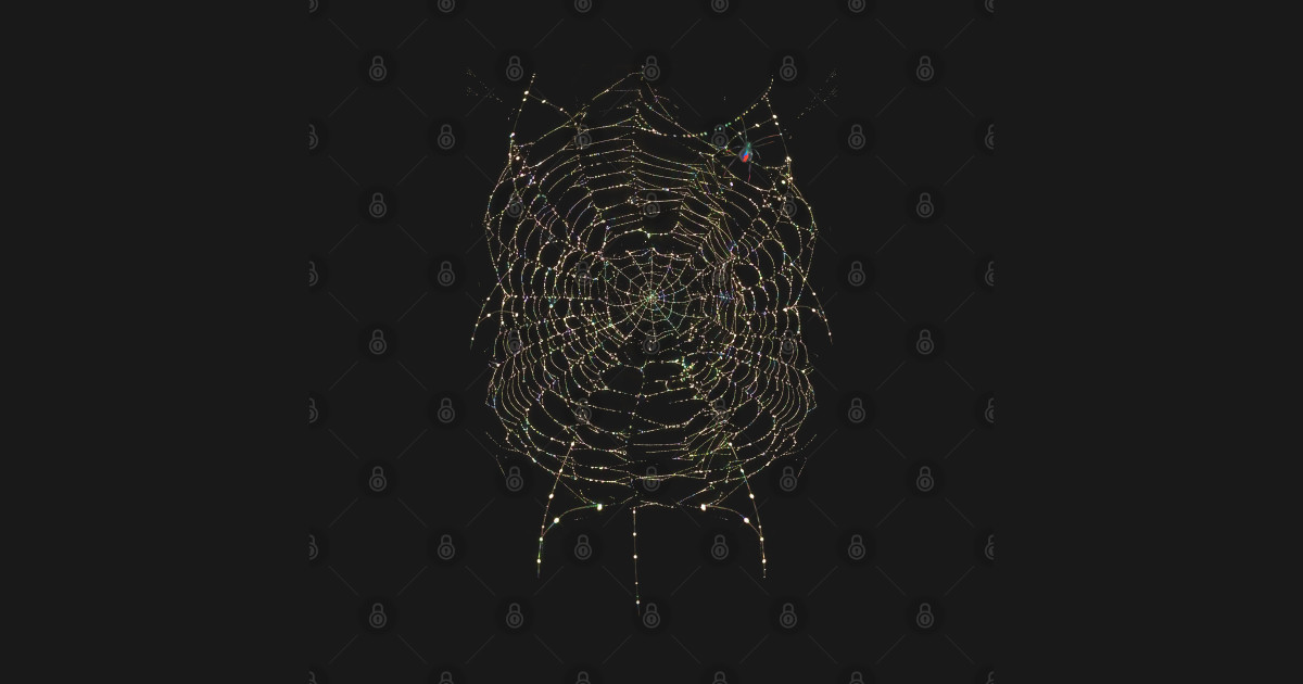 Spider web - Spider - T-Shirt | TeePublic