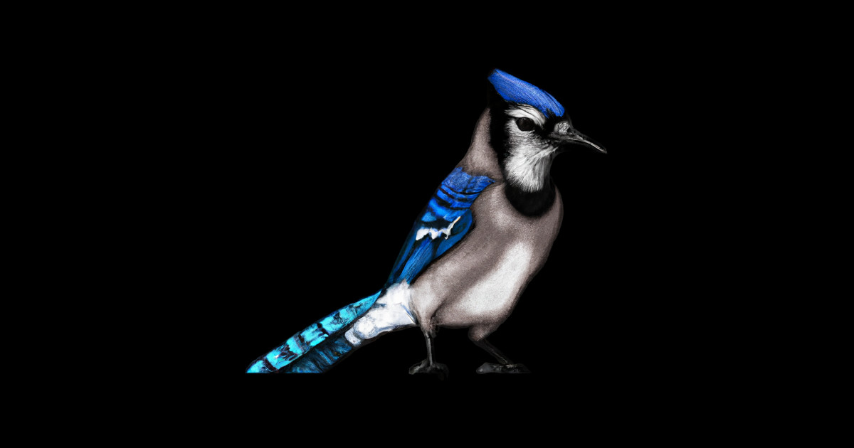 Cute Blue Jay Drawing - Cute Blue Jay - Sticker | TeePublic