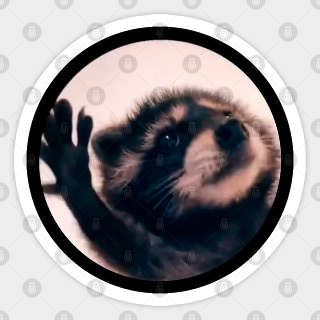 Dancing Raccoon Meme - Dancing Raccoon Meme - Sticker | TeePublic