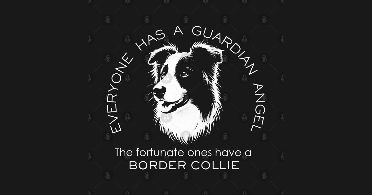 Border Collie Guardian Angel - Guardian Angel Border Collie - T-Shirt ...