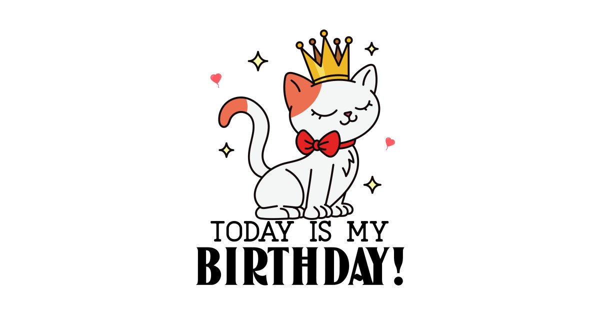 Princess Cat Birthday - Princess Birthday - T-Shirt | TeePublic