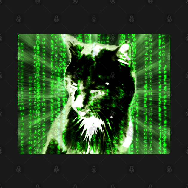 Matrix cat - Black Cat - T-Shirt | TeePublic