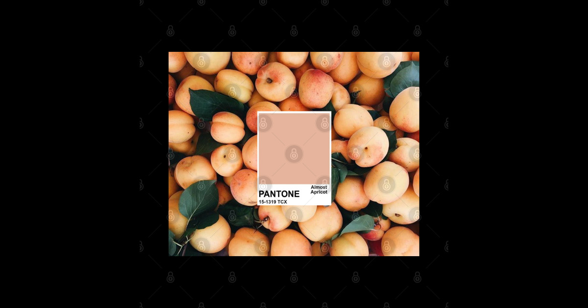 Almost apricot color - Pantone Color - Posters and Art Prints | TeePublic