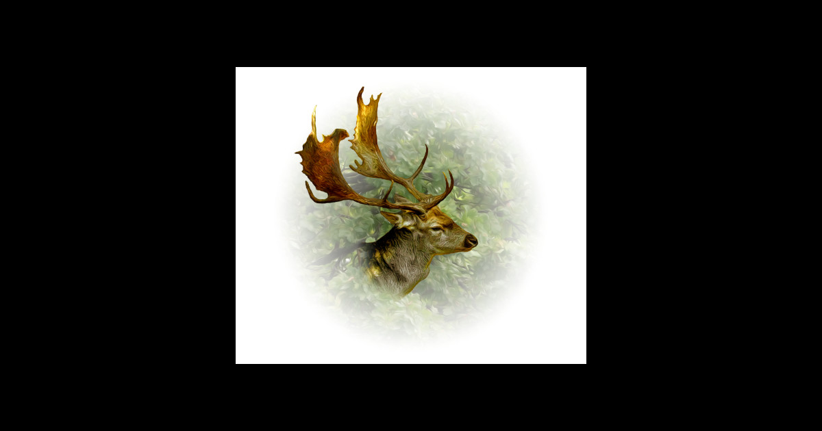 Fallow deer - Deer - Sticker | TeePublic