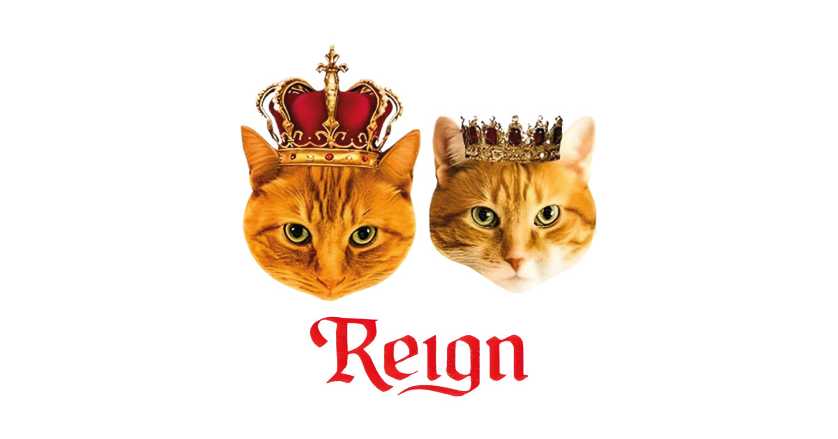 Paul Maurice Reign cats Florida Panthers - Paul Maurice Reign Cats ...