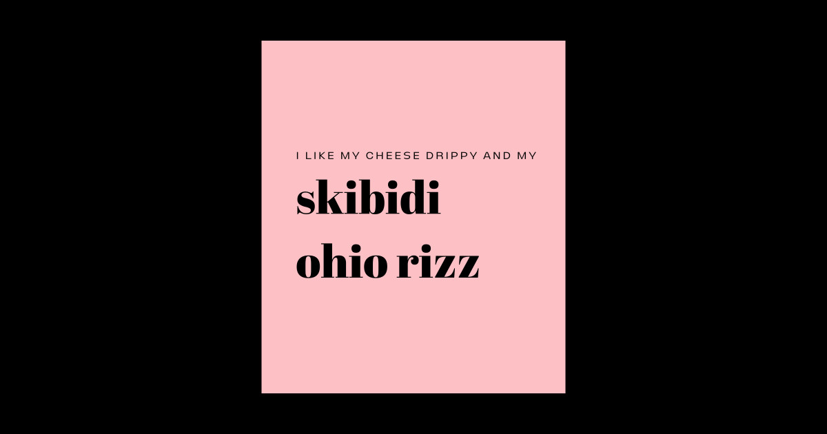 I Like My Cheese Drippy and Skibidi Ohio Rizz - Memes Internet ...