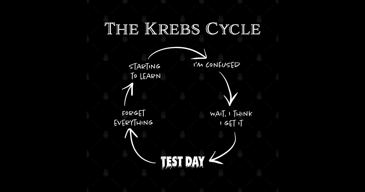 Krebs Cycle Joke, Funny Citric Acid Cycle Illustration - Krebs Cycle ...