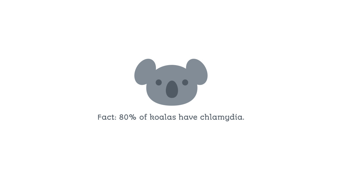 Koala facts - Koalas - T-Shirt | TeePublic