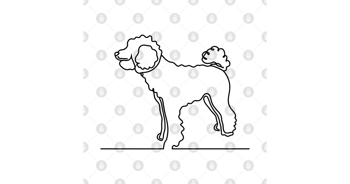 Poodle Line Drawing - Poodle - T-Shirt | TeePublic