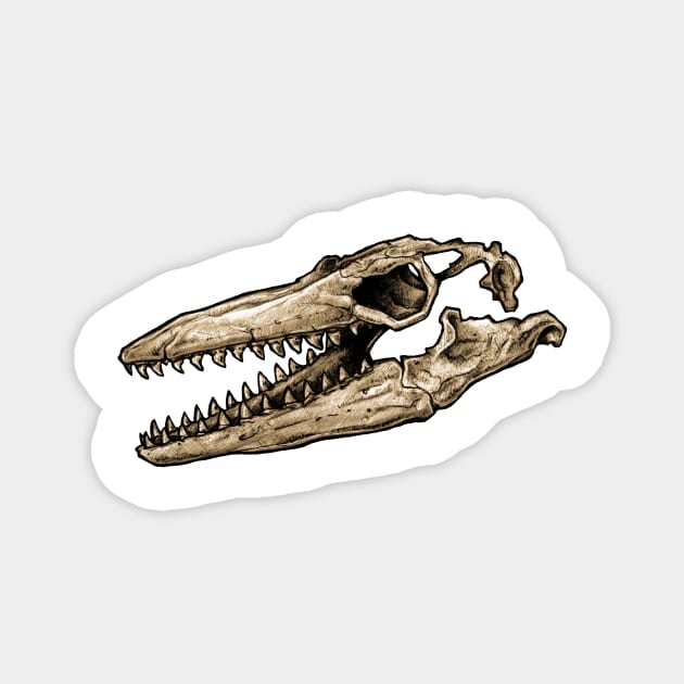 Dinosaur Skull Mosasaurus Sticker - Mosasaurus - Magnet | TeePublic