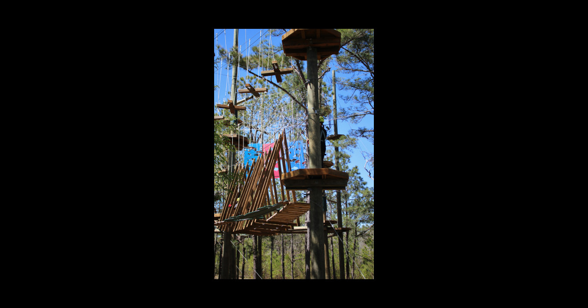 Rope Course Challenge - Tourist Attraction - Posters and Art Prints ...