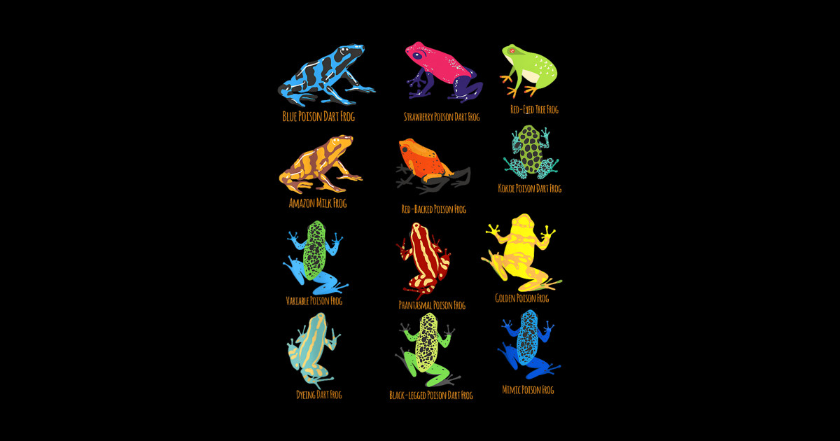 dart Frogs identification chart for Frog Lovers - Frogs - Posters and ...