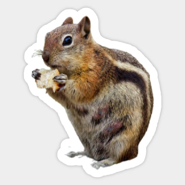 cute chipmunk - Cute - Sticker | TeePublic