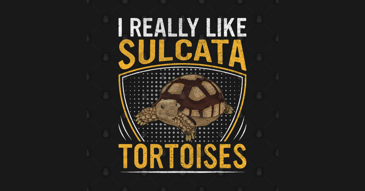Turtle Pet Reptile Tortoise Species Really Like Sulcata Tortoises 1 ...