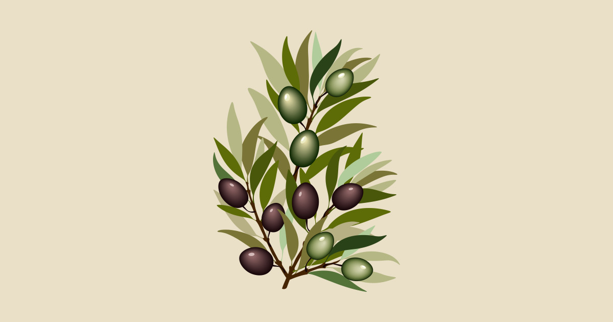 Olive Tree Branches symbol of Peace resistance resilience strength ...