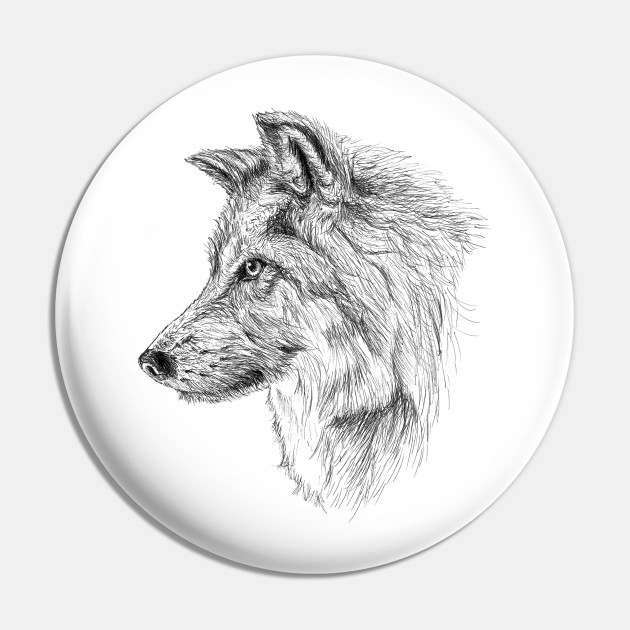 wolf pen drawing