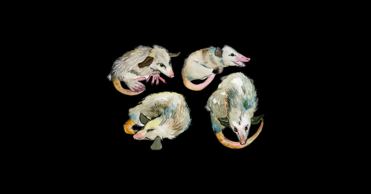 Possum Poses - Possum - Magnet | TeePublic