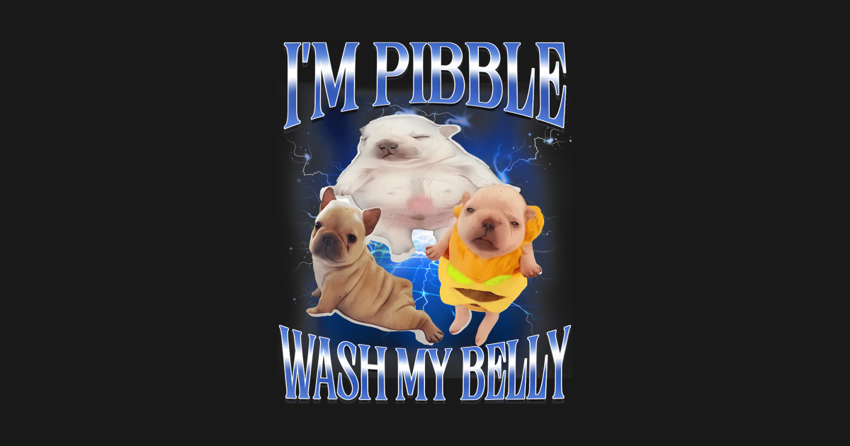 Silly Pibble Wash My Belly Clean My Belly - Funny Dog Meme - T-Shirt ...