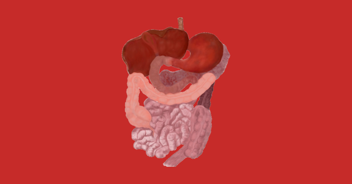 Digestive system aesthetic - Anatomy - T-Shirt | TeePublic